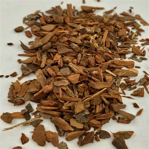 Tree Bark Quinine At Walter Abbott Blog
