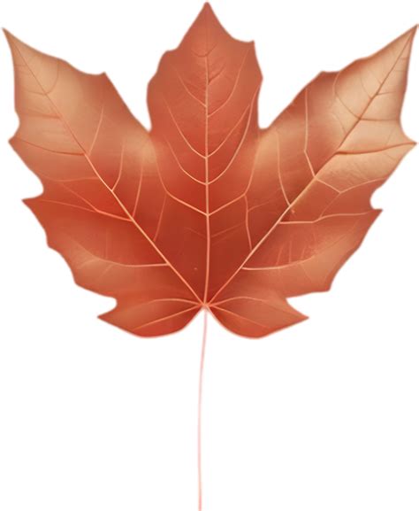 An Image Of A Stylized Leaf AI Generated PNG An Image Of A Stylized Leaf AI Generated PNG