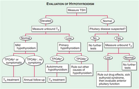 Solved Evaluation Of Hypothyroidism