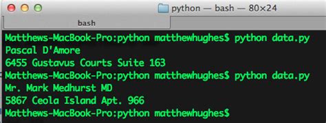 How To Generate Dummy Data In Ruby Perl And Python