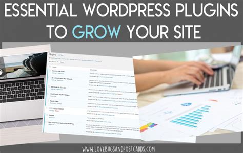 Essential WordPress Plugins To Grow Your Site Lovebugs And Postcards