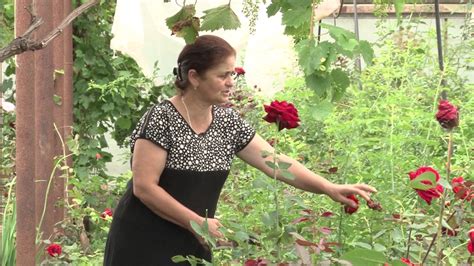 როგორ მოვუაროთ ყვავილების სათბურს Youtube