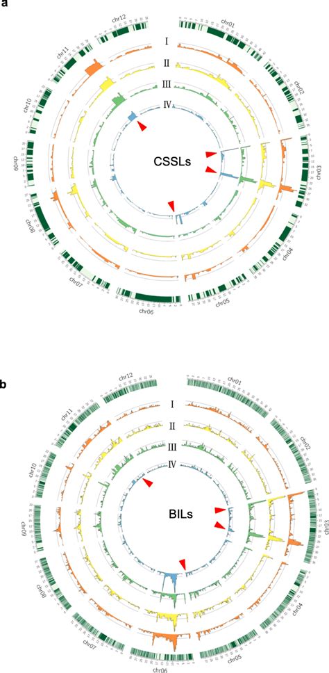 Genome Wide Distribution Of Quantitative Trait Loci Qtls Detected For