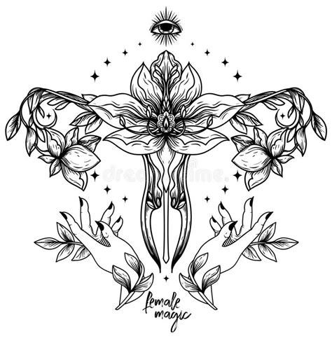 Decoratieve Tekening Van Het Vrouwelijke Voortplantingsstelsel Met