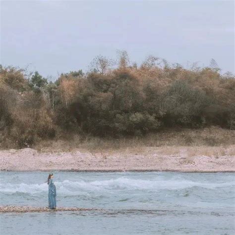 真正厉害的人，从不着急！仲永司马懿诸葛亮