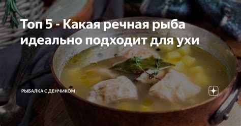 Топ 5 Какая речная рыба идеально подходит для ухи Рыбалка с Денчиком Дзен