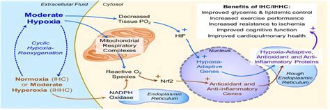 Medical Gas Research