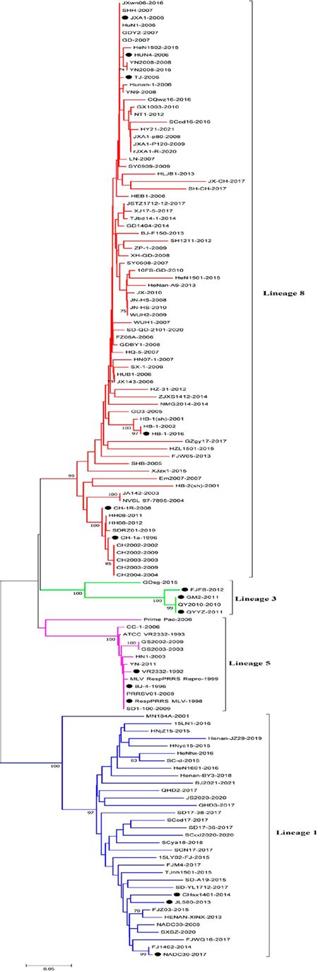 A Nj Phylogenetic Tree Was Constructed Based On The Nsp2 Sequences Of