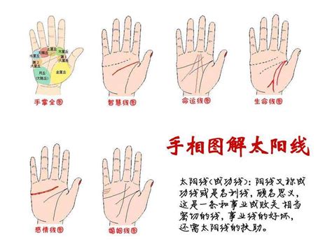 手掌上各个纹路究竟代表什么意思你知道么