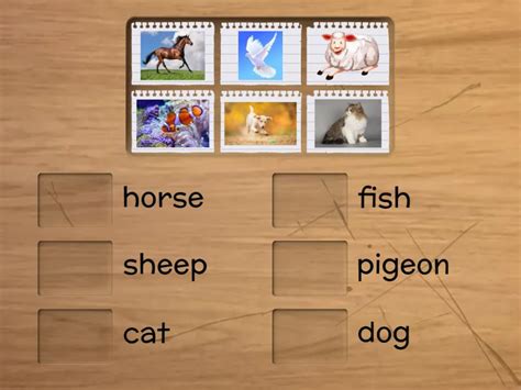 Знайди назву тварин на англійській мові Match Up