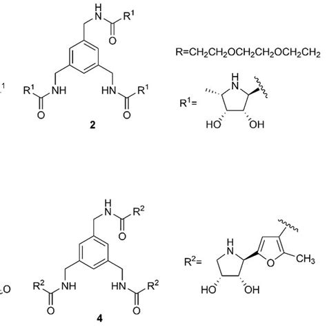 Proposed Binding Models Accounting For The Multivalent Effect A Bind