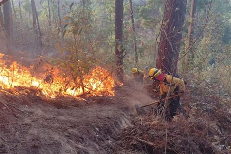 Guatemala Coordina Acciones Para Prevenir Incendios Forestales En Petén