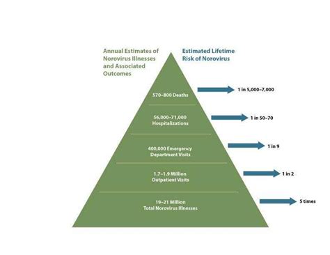 Norovirus Burden Of Norovirus Illness And Outbreaks Figure Cdc