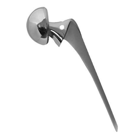 Bipolar Hip Prosthesis Non Perforated Non Sterile Astro Medicare