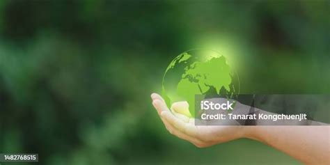 흐릿한 자연 배경에 녹색 지구 지구본을 들고 있는 인간의 손은 세계 개념을 구한다 환경에 대한 스톡 사진 및 기타 이미지 환경 세계지도 지속 가능한 생활 양식
