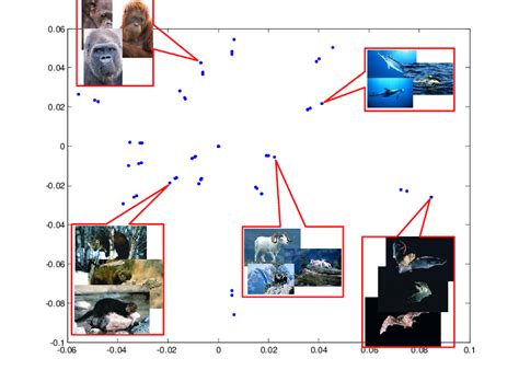 2 D Visualization Of Images Using The Fifth And Sixth Eigenvector