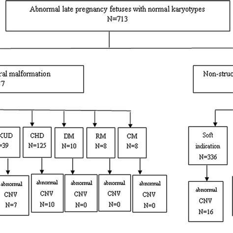 Ultrasonically Abnormal Late Pregnancy Fetuses With Normal Karyotypes Download Scientific