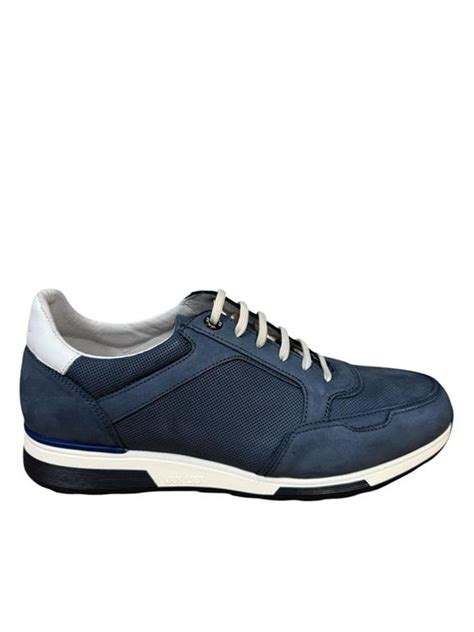Van Lier 2515522