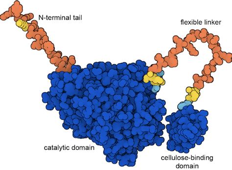 Pdb 101 Learn Exploring The Structural Biology Of Bioenergy