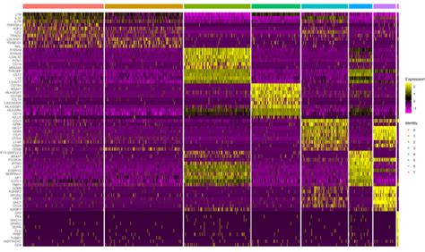 [单细胞 R]单细胞自动注释与手动注释 知乎