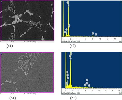 Sem Micrographs And Eds Analysis Profiles Of A Al 8 Wt Cuznalni And Download Scientific