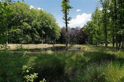 ‘hoe Houden We Landgoed De Wielewaal Voor Altijd Groen Vraagt