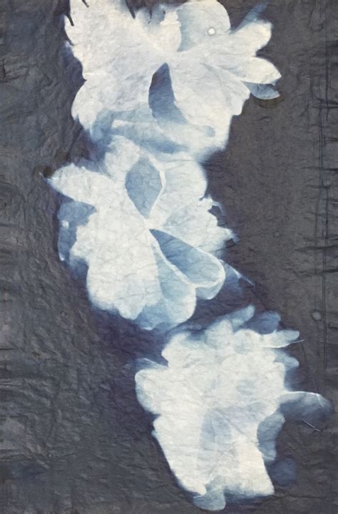 Impractical Leisure Gallery — Heather F Wetzel