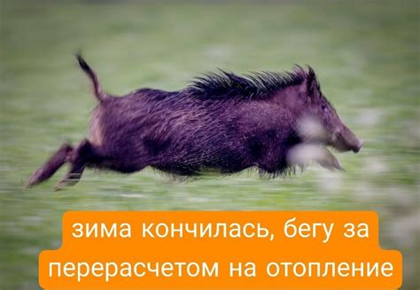 ЖКХ вопросы и ответы 2024 ВКонтакте