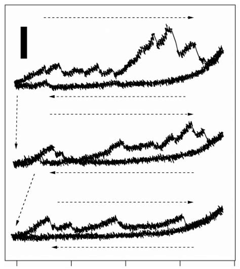 Consecutive Force±extension Curves Obtained Using An Atomic Force
