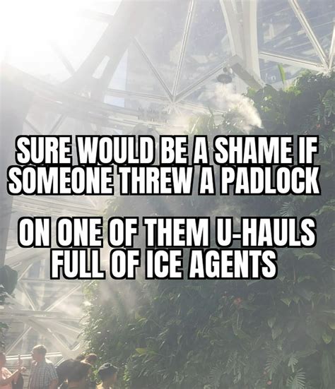 Not Suggesting Anything Album On Imgur