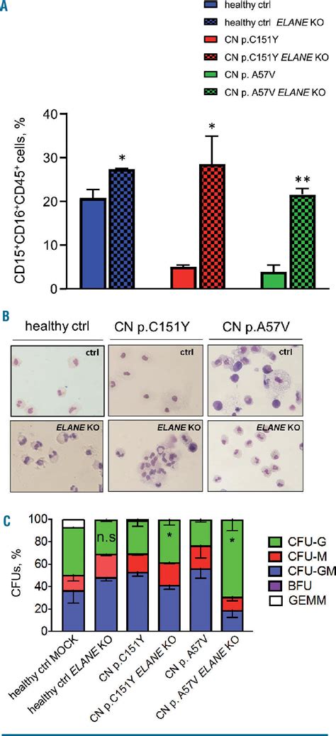 Figure 4 From Crisprcas9 Mediated Elane Knockout Enables Neutrophilic