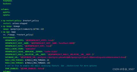 Linux系统使用docker安装openproject12openproject 安装 Csdn博客