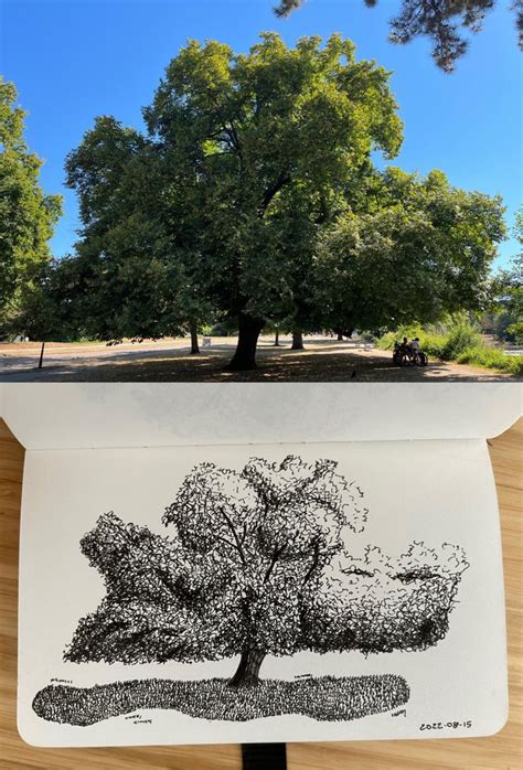 Trying To Add Ellipsis Three Dots Between Python String Input R