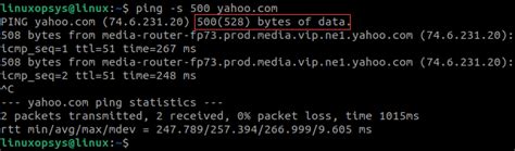 Ping Command In Linux With Examples