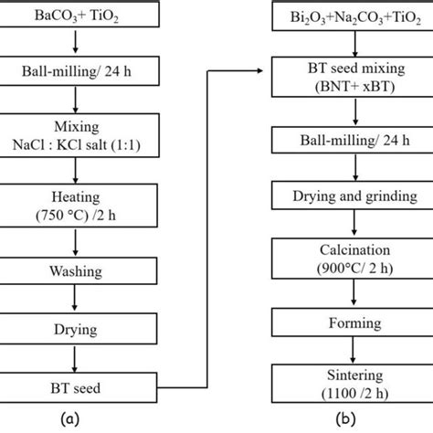 Processing Flow Chart For The Preparation Of The Bt Seed And Bnt Bt