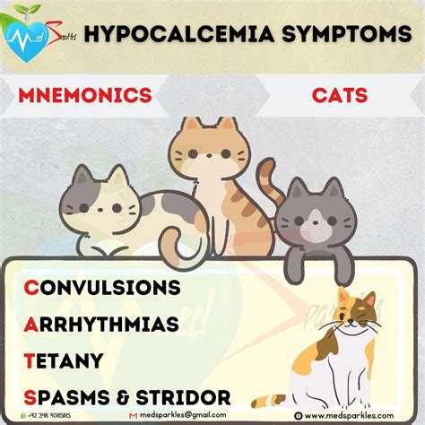 Hypocalcemia Symptoms Mnemonic Cats Med Sparkles