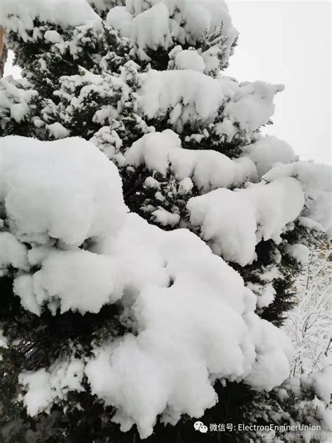 Stm32单片机基础知识总结（三）stm32输出时钟变频 Csdn博客