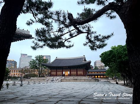 서울 궁궐 야경투어 1탄 덕수궁 조선의 마지막 왕 고종의 이야기 Feat 덕수궁 궁궐야행 후기 네이버 블로그