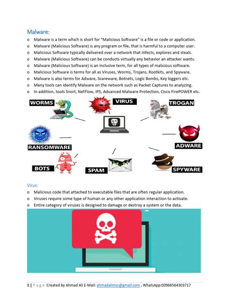 03 Malicious Software Pdf Malware Denial Of Service Attack
