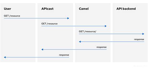 Chapter 4 Apicast Policies Red Hat Product Documentation