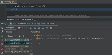 GoLand EAP Build Is Out With A Preview Tab In The Debugger And Other Improvements