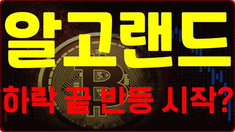 알고랜드 코인 📉 하락 끝 📈 반등 시작 알고랜드코인목표가 알고랜드코인전망 알고랜드코인대응 알고랜드코인분석 Youtube