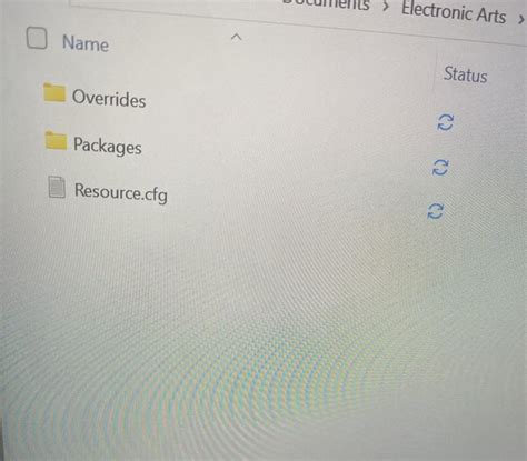 Sims 3 Mods Folder Not Working Rsims3