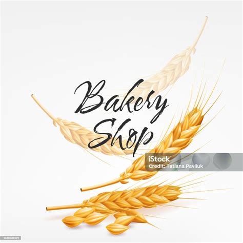 빵집 가게를 위해 떨어지는 황금 밀 스파이크 호밀 마른 밀의 사실적인 벡터 그림 농업 및 가을 테마 디자인에 적합합니다 수확