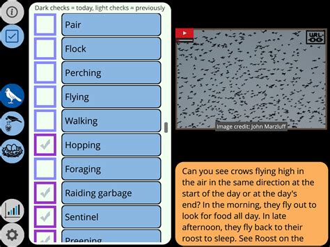 Tiny Scrollbar In Widgetnewscrollview Widgets Solar2d Game Engine