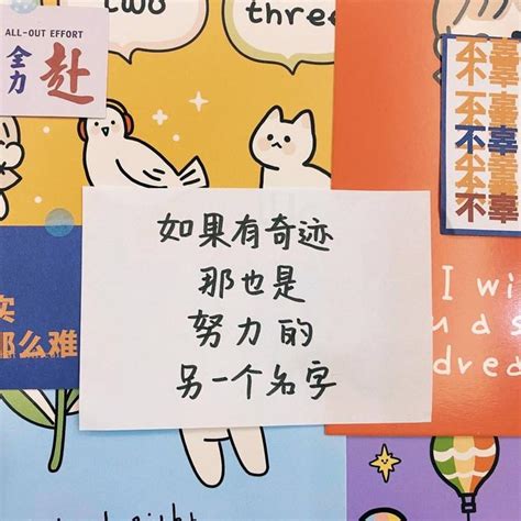 尚德考研怎么样？通过率高吗？ 知乎