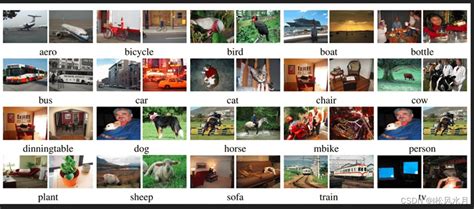 目标检测实战篇1——数据集介绍 pascal voc，ms coco csdn博客