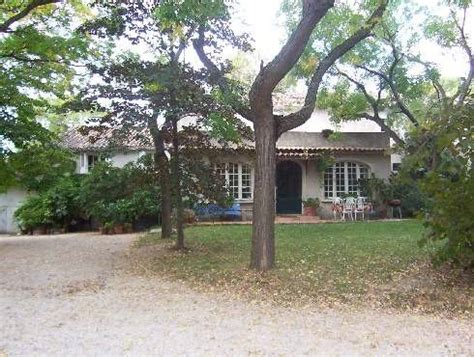 Beautify Your Garden With Trees