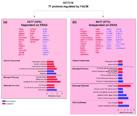 Kras Dependent And Independent Differentially Expressed Proteins In