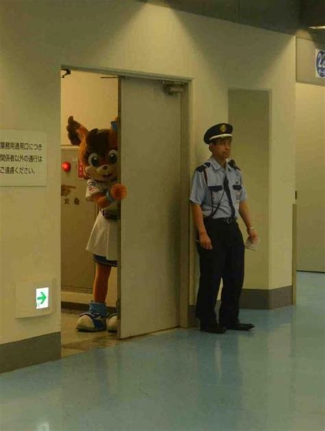 Random Pics That Will Make Your Hump Day Complete EBaum S World